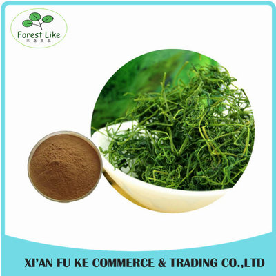 Wholesale Natural Saponins 20 %- 98 % Gynostemma Extract for Lower Blood Pressure and Lipid supplier