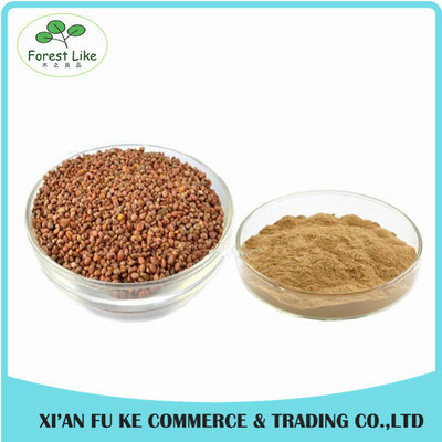 Chinese Herbal Medicine Loss Weight Product Radish Seed Extract supplier