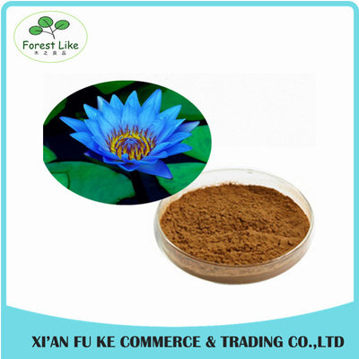 China Manufacturer Blue Lotus Extract/Dried Blue Lotus Flower Extract/GMP Blue Lotus Powder supplier