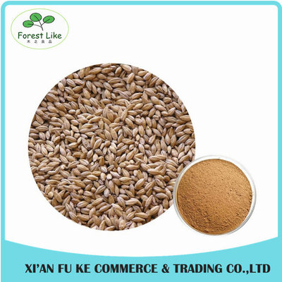Barley Malt Extract Powder Hordenine 98% supplier