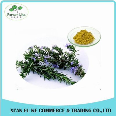 Rosemary Leaf Extract Carnosic Acid / Rosmarinic Acid Powder supplier