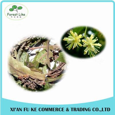 High Quality Lemon Balm (Melissa Officinalis) Extract powder supplier