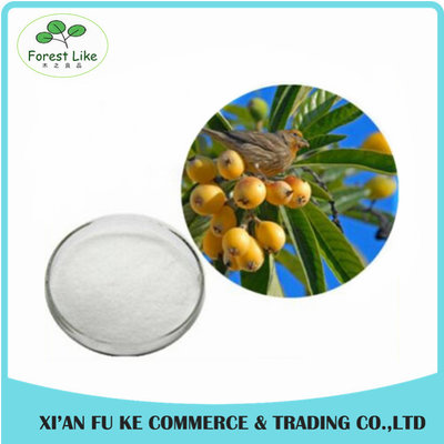 Free Sample Loquat Leaf Extract Ursolic Acid 90 % supplier