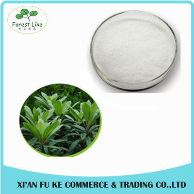 Free Sample Loquat Leaf Extract Ursolic Acid 90 % supplier