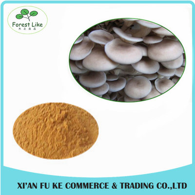 Anti-cancer Plant China Export Fresh Oyster Mushroom Extract supplier