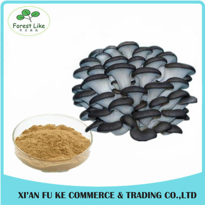 Anti-cancer Plant China Export Fresh Oyster Mushroom Extract supplier