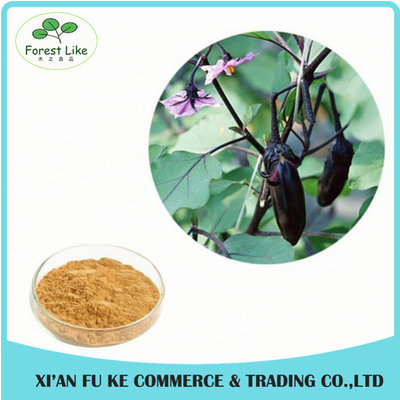 100% Water Soluble Anti-aging Eggplant Extract for Skin Cancer supplier