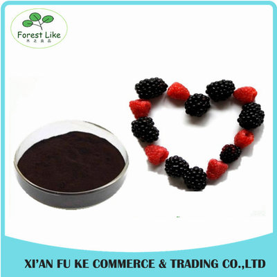 Hight-quality Instant Freeze Dried Mulberry Extract Fructus Morin Powder supplier