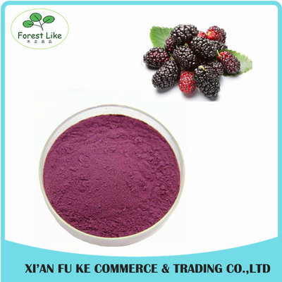 Hight-quality Instant Freeze Dried Mulberry Extract Fructus Morin Powder supplier