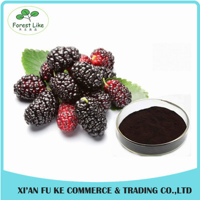 Hight-quality Instant Freeze Dried Mulberry Extract Fructus Morin Powder supplier