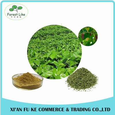 High Quality Mulberry Leaf Extract Powder/Natural Mulberry Extract 1% 1-Deoxynojirimycin(1-DNJ) supplier
