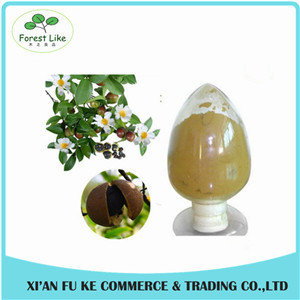 50 % - 98 % Tea Saponins Camellia Oleifera Seed Extract supplier