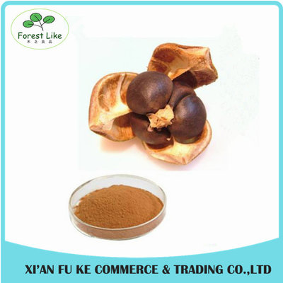 50 % - 98 % Tea Saponins Camellia Oleifera Seed Extract supplier