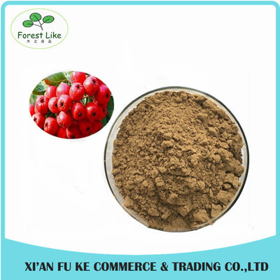 Anti Aging Fresh Hawthorn Extract Hawthorn Flavones supplier