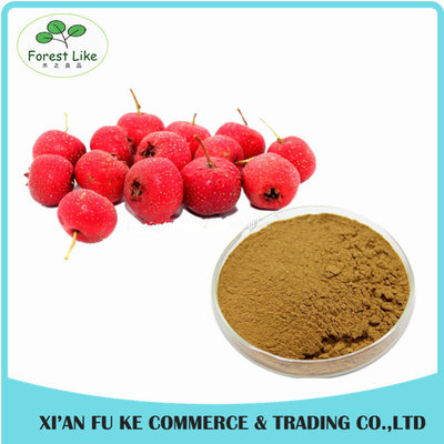 Anti Aging Fresh Hawthorn Extract Hawthorn Flavones supplier