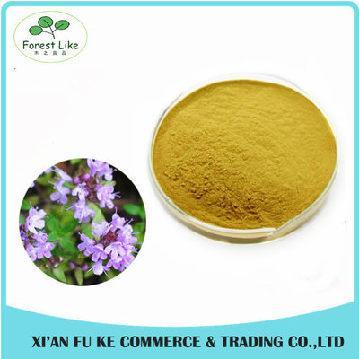 New Design Spices Product Antibacterial Effect Dry Thyme Leaf Extract supplier