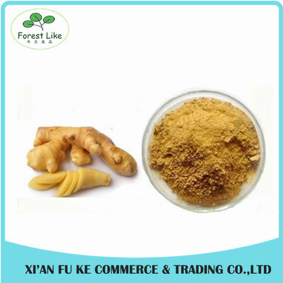 100% Natural Yellow Ginger Extract Powder 10 :1 supplier