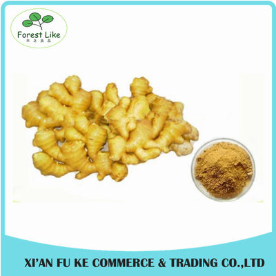 100% Natural Yellow Ginger Extract Powder 10 :1 supplier