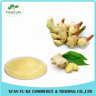 100% Natural Yellow Ginger Extract Powder 10 :1 supplier