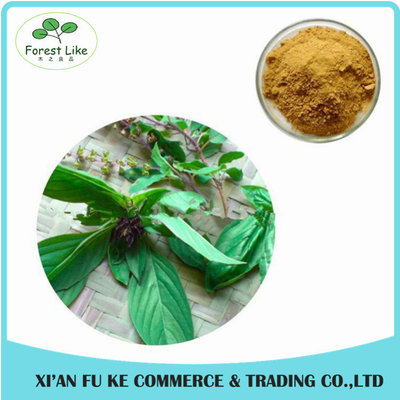 Hot Selling Herbal Extract Holy Basil Leaf Extract 4:1 - 20:1 supplier