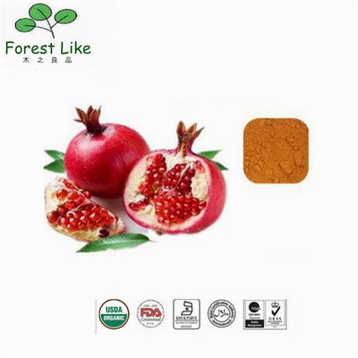 Ellagic Acid / Gallogen 40 % - 90 % Pomegranate Peel Extract supplier