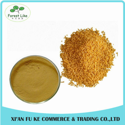 100% Pure Natural Non GMO Kosher Halal Certified 10:1 Purple Corn Seed Extract Powder supplier