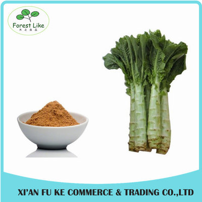 Manufacturer Supply Low Price Wild Lettuce Leaf Extract supplier