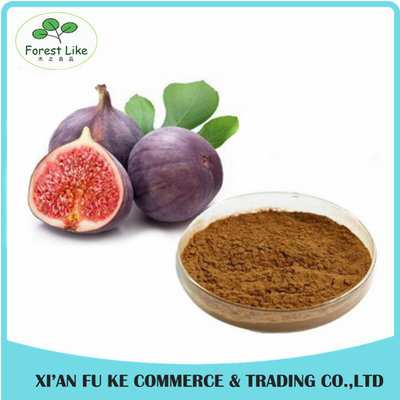 Fig Extract Powder/ Fig Extract for Herbal Medicine supplier