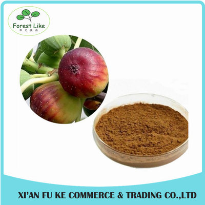 Fig Extract Powder/ Fig Extract for Herbal Medicine supplier
