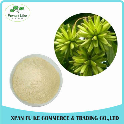 100% Natural Chaste Tree / Fructus Viticis Extract Powder supplier