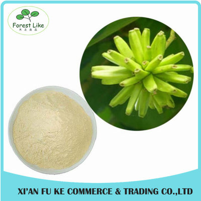 100% Natural Chaste Tree / Fructus Viticis Extract Powder supplier