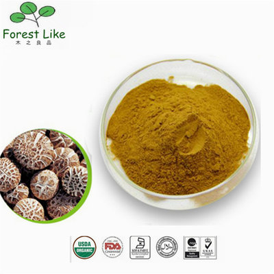 Mushroom Extract Powder / Phellinus Igniarius Extract supplier