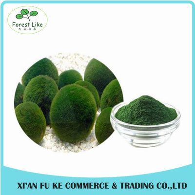 Nutrition Additive Raw Material of Cosmetic New Aga Product Chlorella Extract Powder supplier