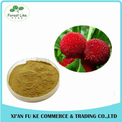 Hot Sale Plant Extract Red Bayberry Bark Extract supplier