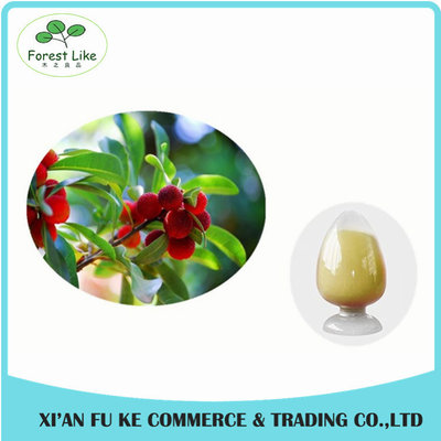 Hot Sale Plant Extract Red Bayberry Bark Extract supplier
