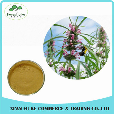 Clear Heart and Regulate Menses Natural Motherwort Herb Extract supplier