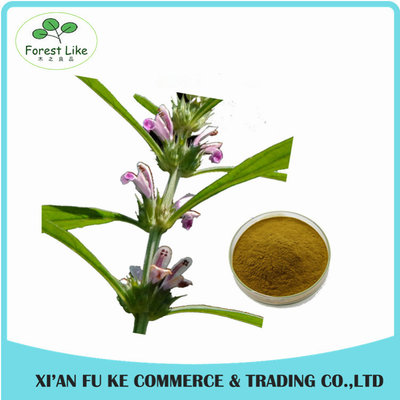 Clear Heart and Regulate Menses Natural Motherwort Herb Extract supplier