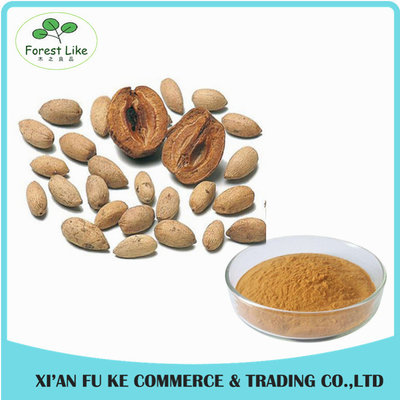 Bulk Quantity Pure Natural Insecticide Neem Seed extract supplier