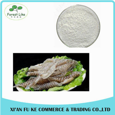 Skin Whiteing Function Beauty /Health Food Additive Fish Skin/Scole Collagen Powder supplier