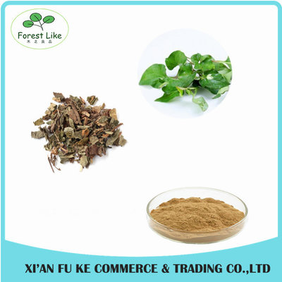 Chinese Herb Extract Manual Cultivation Herba Houttuyniae Extract supplier