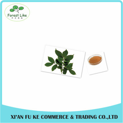 Zero Profit Pure Fine Skin Care Bay Leaf Extract supplier