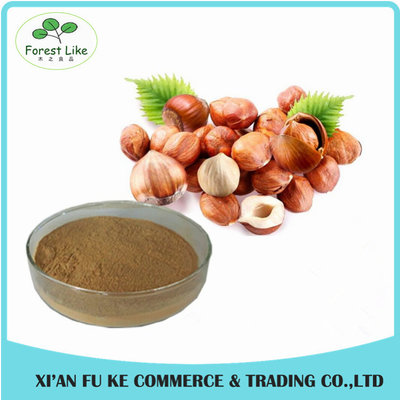 Anti-oxident Product Hazelnut Extract Powder 5:1 - 20:1 supplier