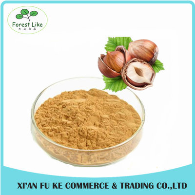 Anti-oxident Product Hazelnut Extract Powder 5:1 - 20:1 supplier
