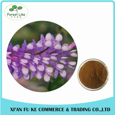 Natural Herb Extract Alfalfa Extract / Lucerne P.E. supplier