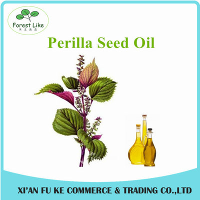 Wholesale Chinese Traditional Herbal Extract Perilla Fretescens Oil Extraction supplier