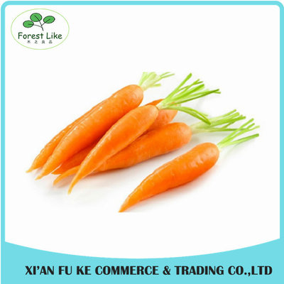 High Quality Carrot Extract Beta Carotene Powder supplier