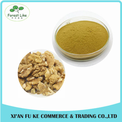 High Quality Walnut Kernel Extract Powder supplier
