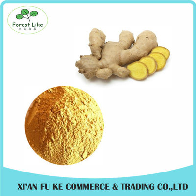 100% Natural Yellow Ginger Extract Powder 10 :1 supplier