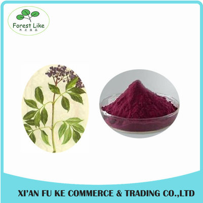 100% Natural Elderberry Extract Powder 10:1 20:1 supplier