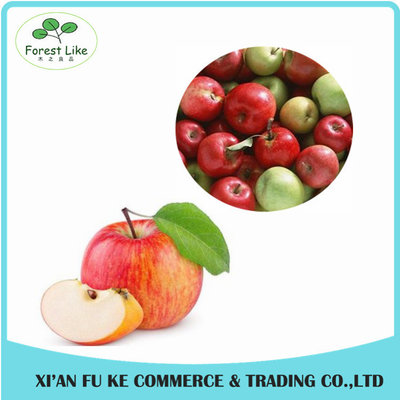 Prevent Vitamin Loss Apple Extract Apple Polyphenols Powder supplier